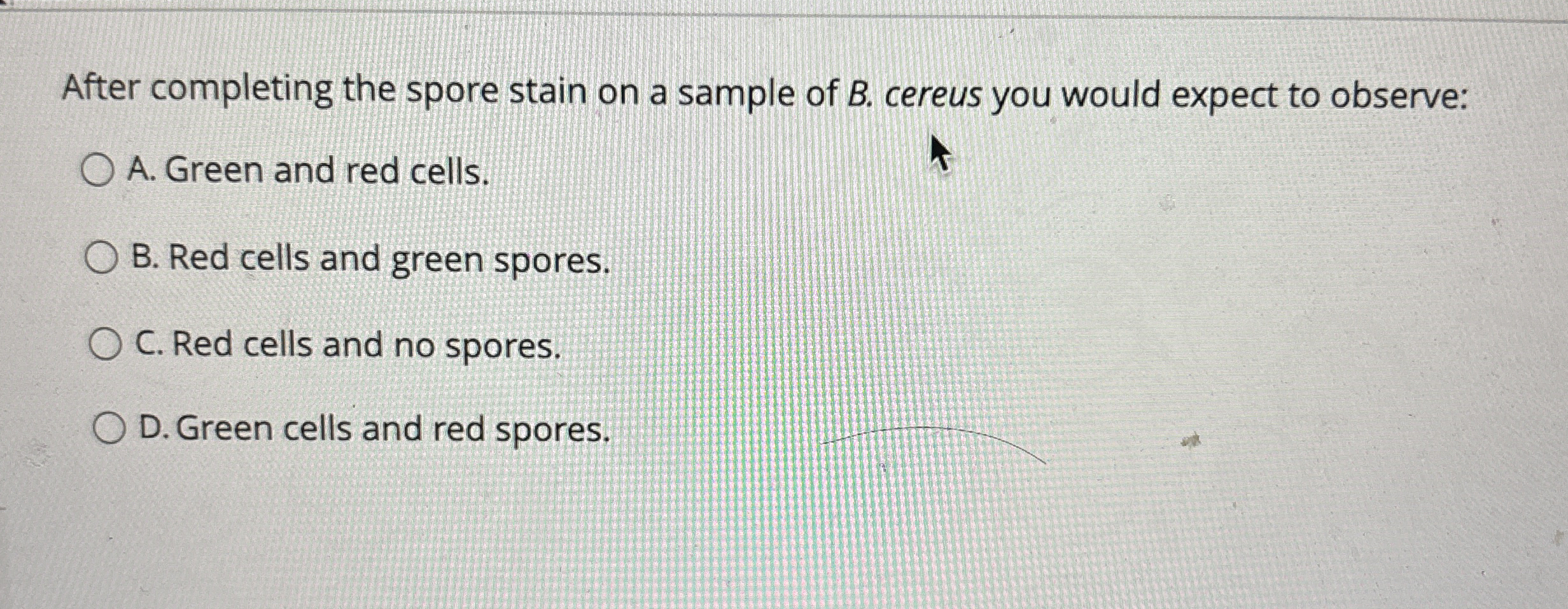 Solved After completing the spore stain on a sample of B. | Chegg.com