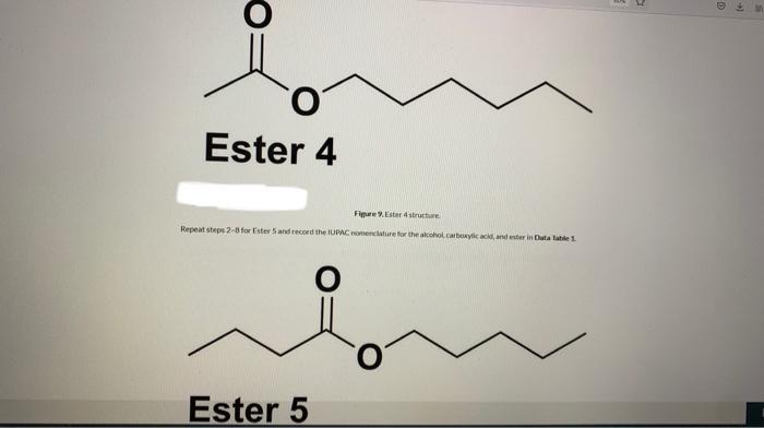 Solved 2 Draw Ester 1 on Flure on the piece of paper 00% D O | Chegg.com