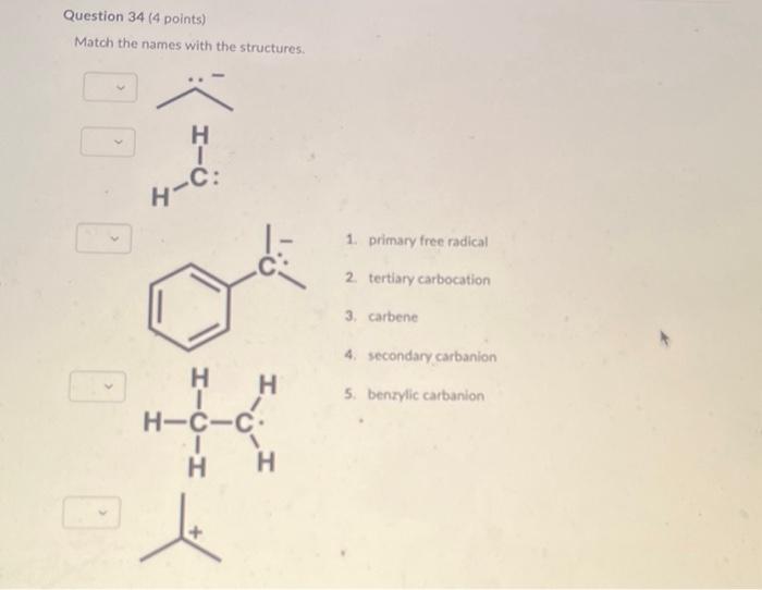 Solved Question 34 ( 4 points) Match the names with the | Chegg.com