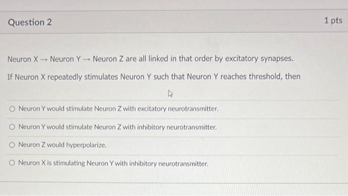 Solved Neuron X→ Neuron Y→ Neuron Z are all linked in that | Chegg.com Solved Neuron X→ Neuron Y→ Neuron Z are all linked in that | Chegg.com