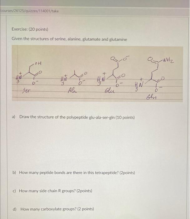 [Solved]: Given the structures of serine, alanine, glutamat