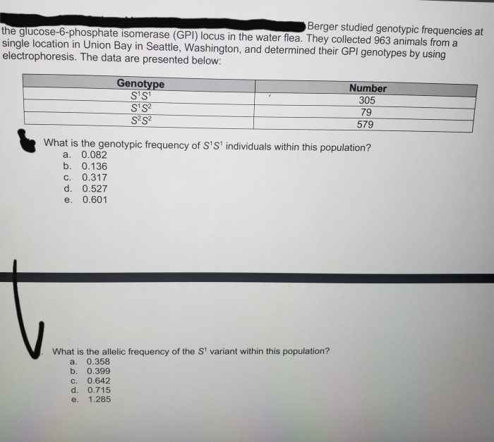 Solved Berger studied genotypic frequencies at the | Chegg.com