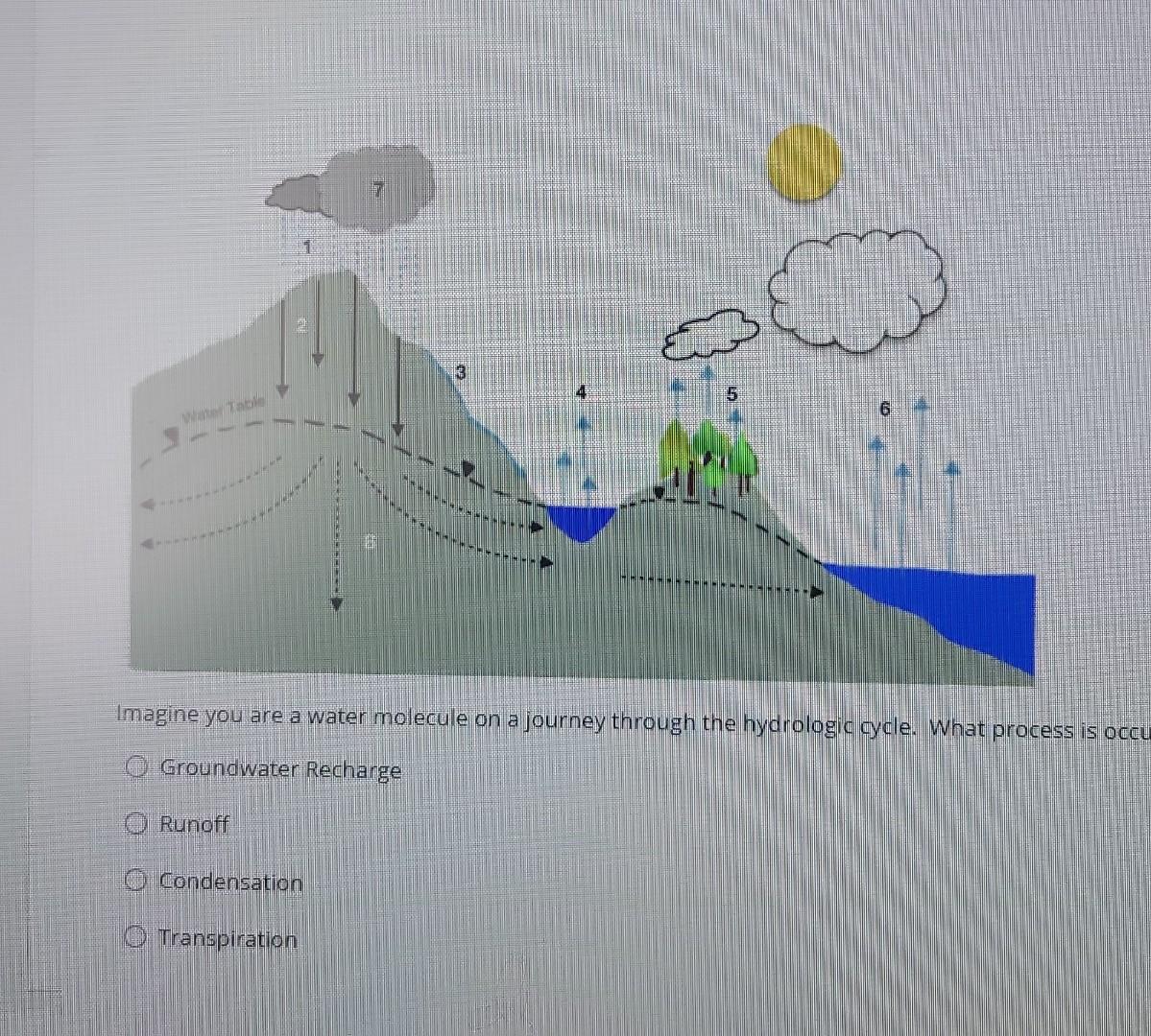 Imagine you are a water molecule on a journey through | Chegg.com