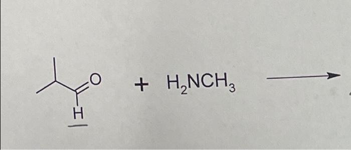 Solved +H2NCH3 | Chegg.com