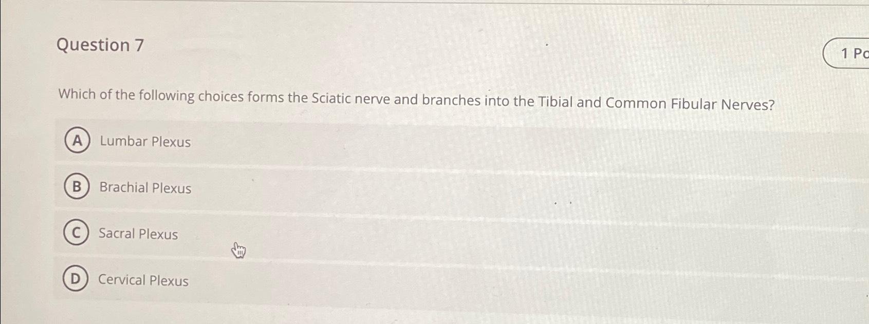 Solved Question 7Which of the following choices forms the | Chegg.com