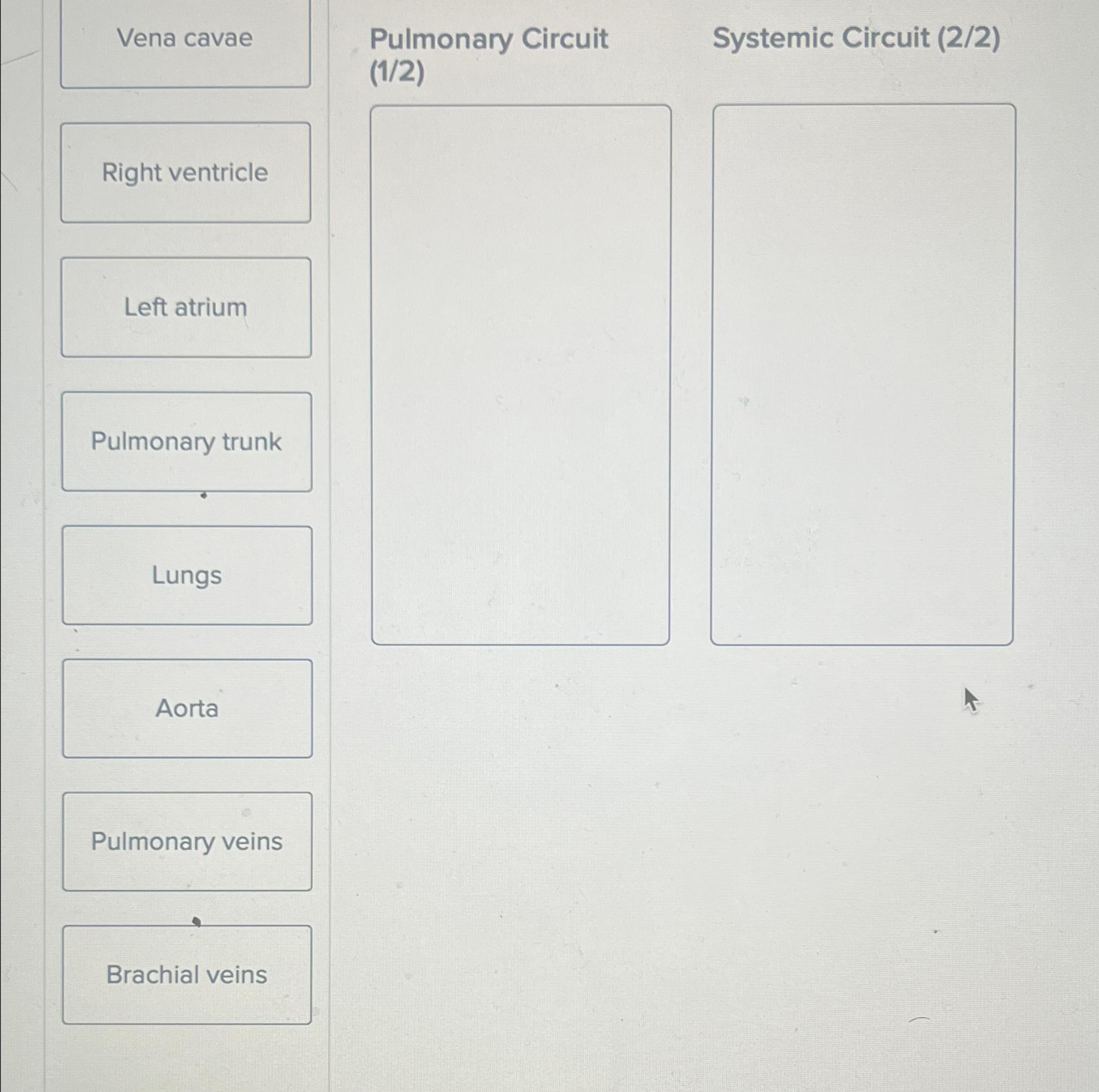 Solved Vena cavaePulmonary Circuit (1/2)Systemic Circuit | Chegg.com