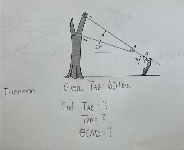 Solved T= tension Given: TAB=60 lbs. Find: TAC= ? TAD= ? | Chegg.com