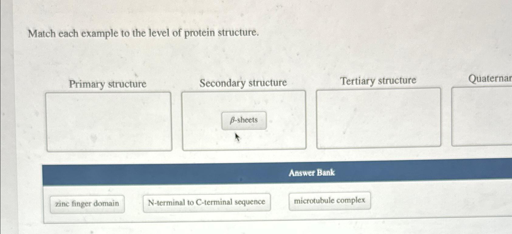 Solved Match each example to the level of protein | Chegg.com
