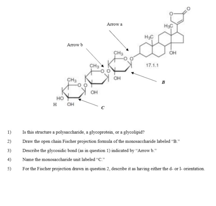 Solved Digitalis is a preparation made from the dried seeds | Chegg.com