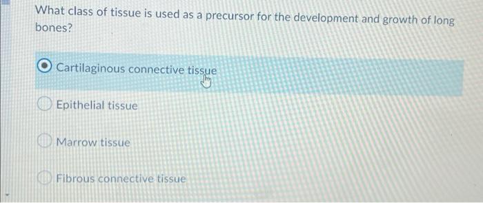 Solved What class of tissue is used as a precursor for the | Chegg.com