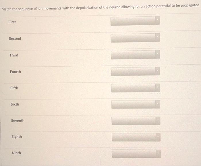 Solved Match the sequence of ion movements with the | Chegg.com