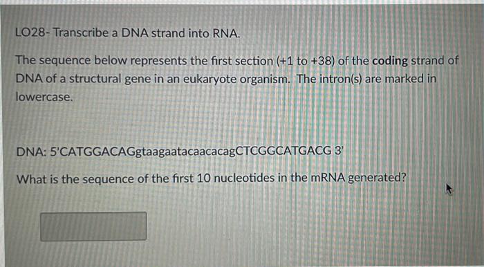 Solved LO28- Transcribe a DNA strand into RNA. The sequence | Chegg.com