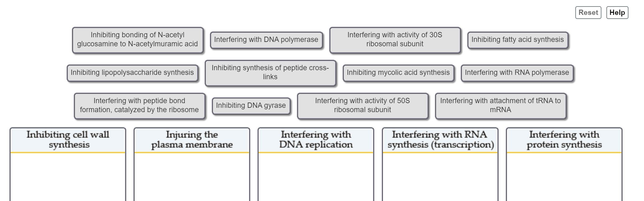 Solved how do antimicorbial drugs inhibit bacterial growth | Chegg.com