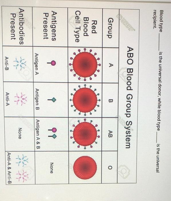 Solved Blood type is the universal donor, while blood | Chegg.com