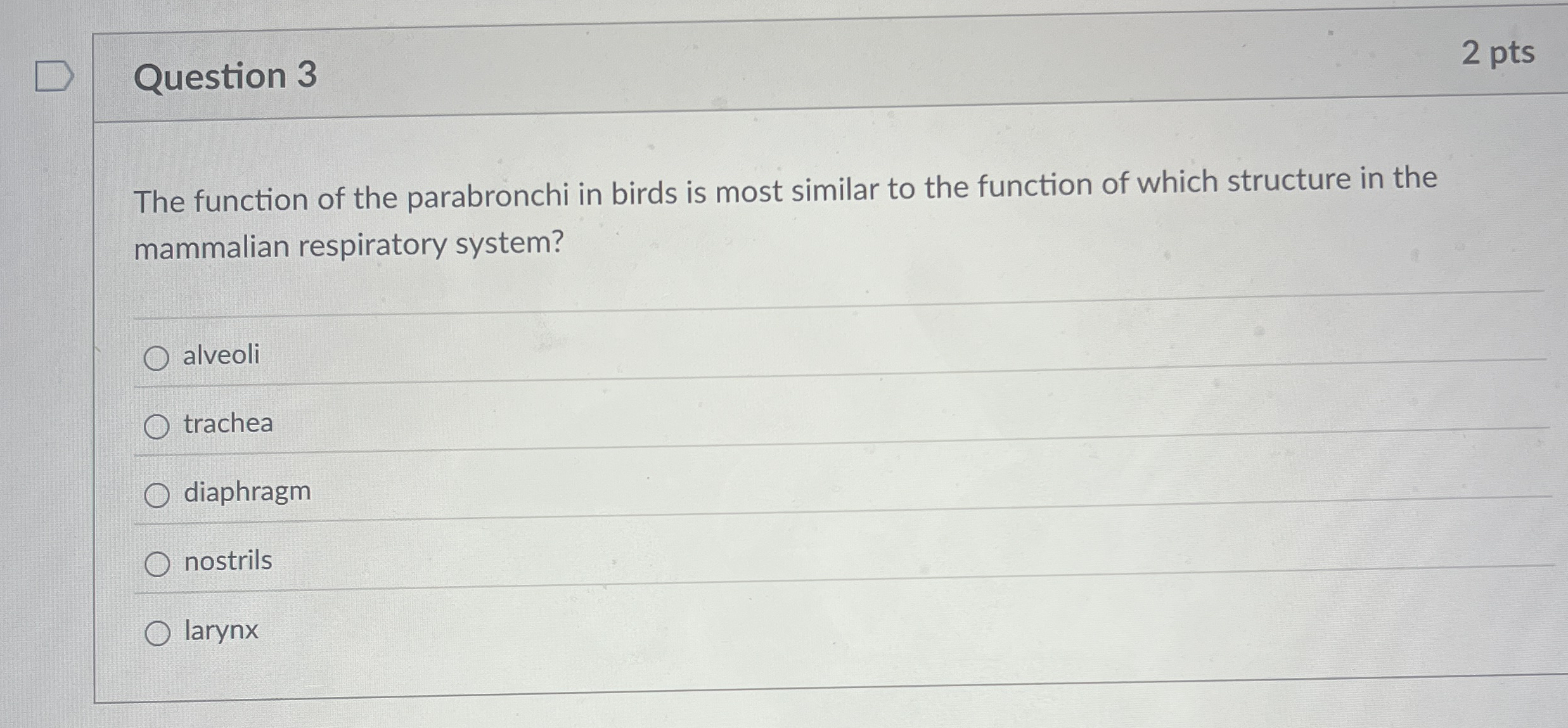 Solved Question 32 ﻿ptsThe function of the parabronchi in | Chegg.com