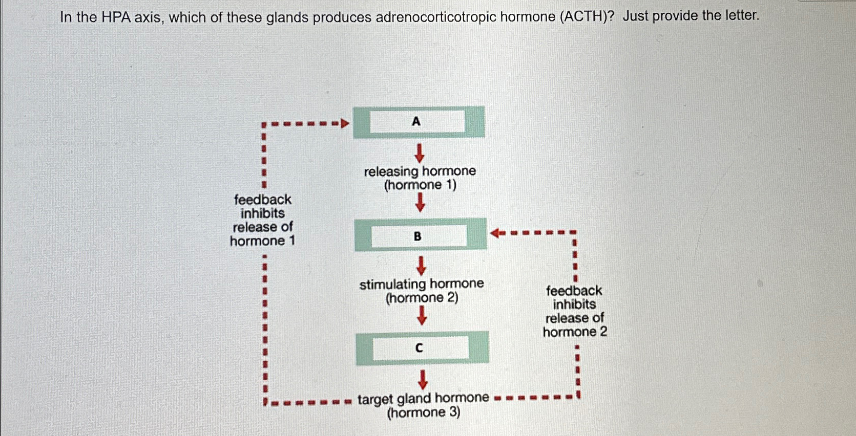 Solved In the HPA axis, which of these glands produces | Chegg.com