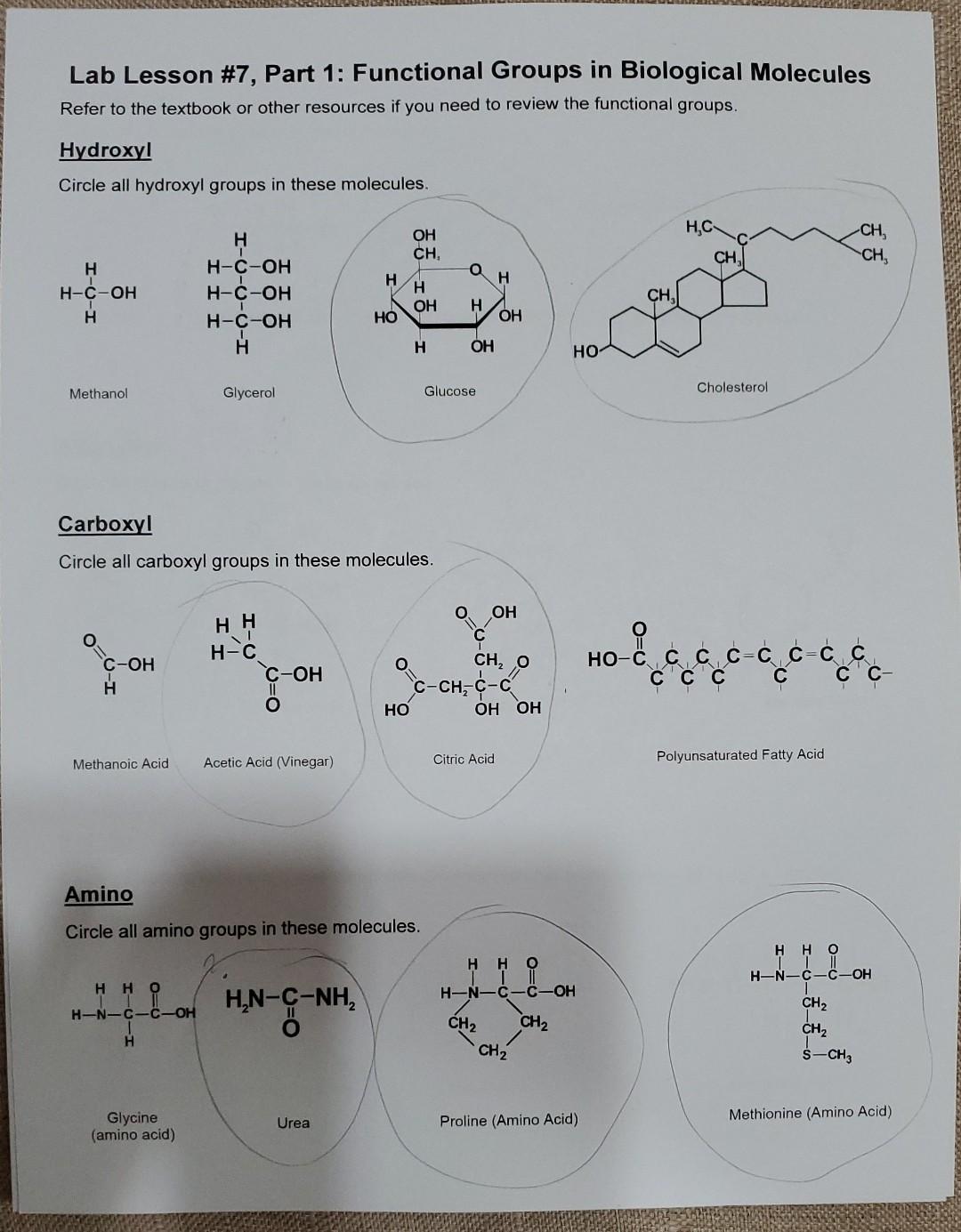 Solved Lab Lesson \#7, Part 1: Functional Groups in | Chegg.com