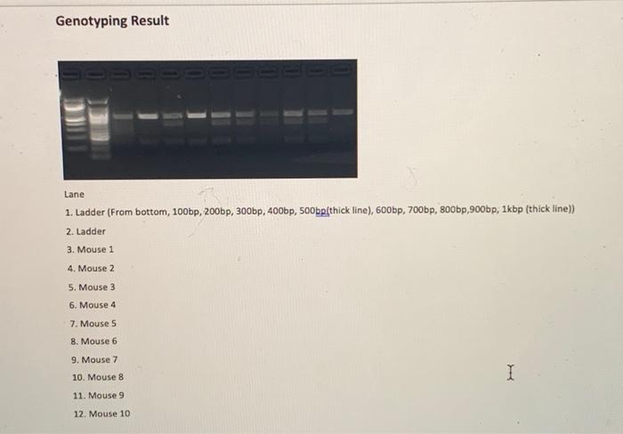 Solved explain the following genotyping results and | Chegg.com