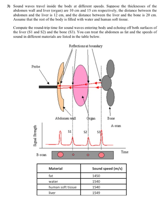 Solved 3) Sound waves travel inside the body at different | Chegg.com