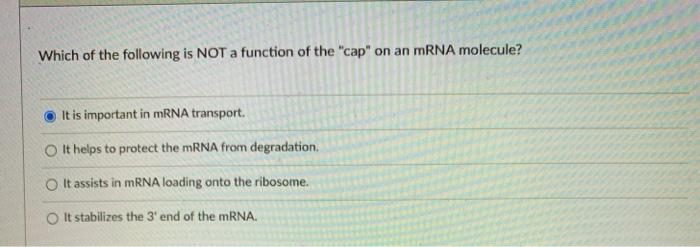 Solved Which of the following is NOT a function of the "cap" | Chegg.com