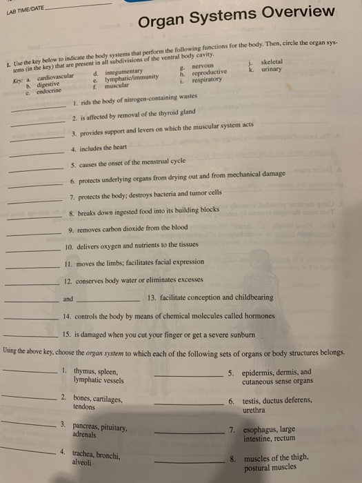 Solved LAB TIME DATE Organ Systems Overview k urinary Ise | Chegg.com