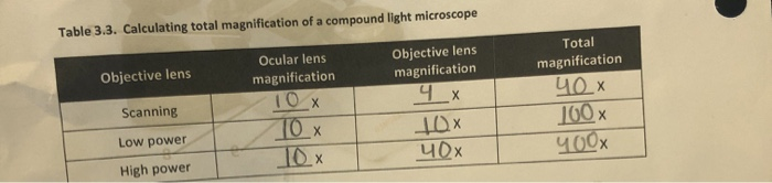 3. Calculate the length of a single onion epidermis | Chegg.com