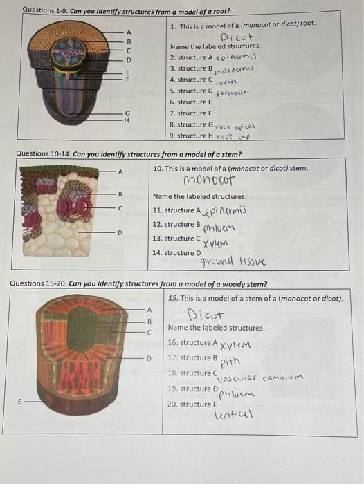 Solved Questions 1.9. Can you identify structures from a | Chegg.com