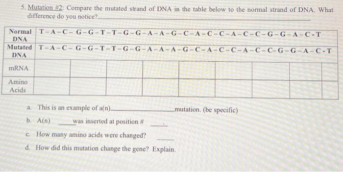 Solved 5. Mutation \#2: Compare the mutated strand of DNA in | Chegg.com
