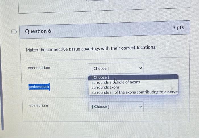 Solved Match the connective tissue coverings with their | Chegg.com