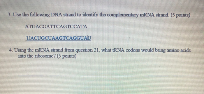 Solved 3. Use the following DNA strand to identify the | Chegg.com