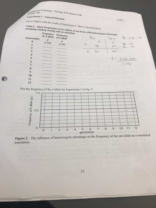 LAB 2 Foundations in Biology Bology & Evolution LAB | Chegg.com