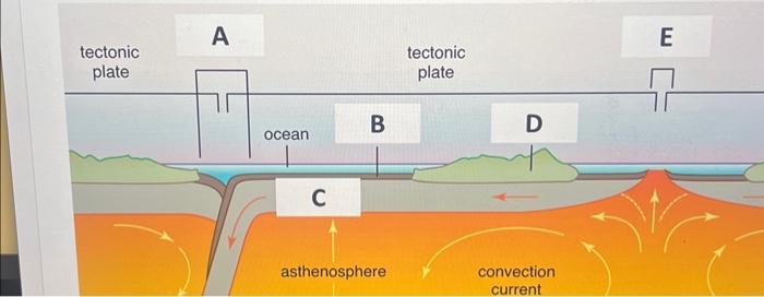Solved να A 58888 BUD C A. oceanic crust B. lithosphere C. | Chegg.com