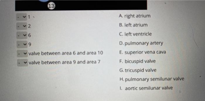Solved Match the numbered structures in the diagram to the | Chegg.com