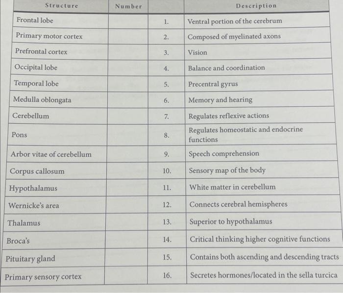 match the structure to the description | Chegg.com