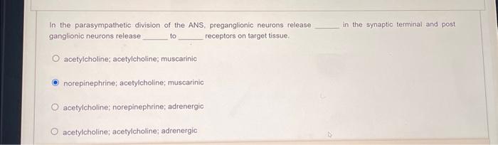 Solved Which of the following is true about the somatic | Chegg.com