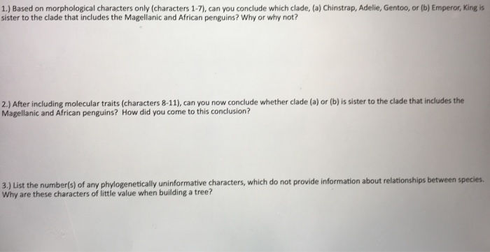 Solved Penguin Phylogeny You MUST build your cladogram based | Chegg.com