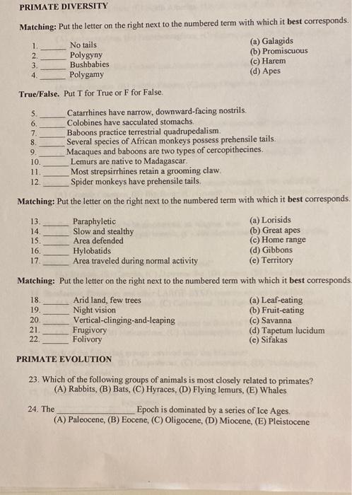 Solved PRIMATE DIVERSITY Matching: Put the letter on the | Chegg.com