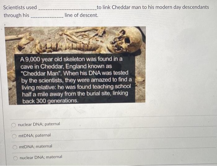 Scientists used through his to link Cheddar man to | Chegg.com