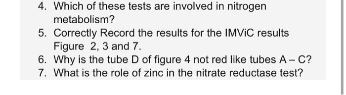 Solved Figure 1. Urease test. IMViC Test-Organism B | Chegg.com