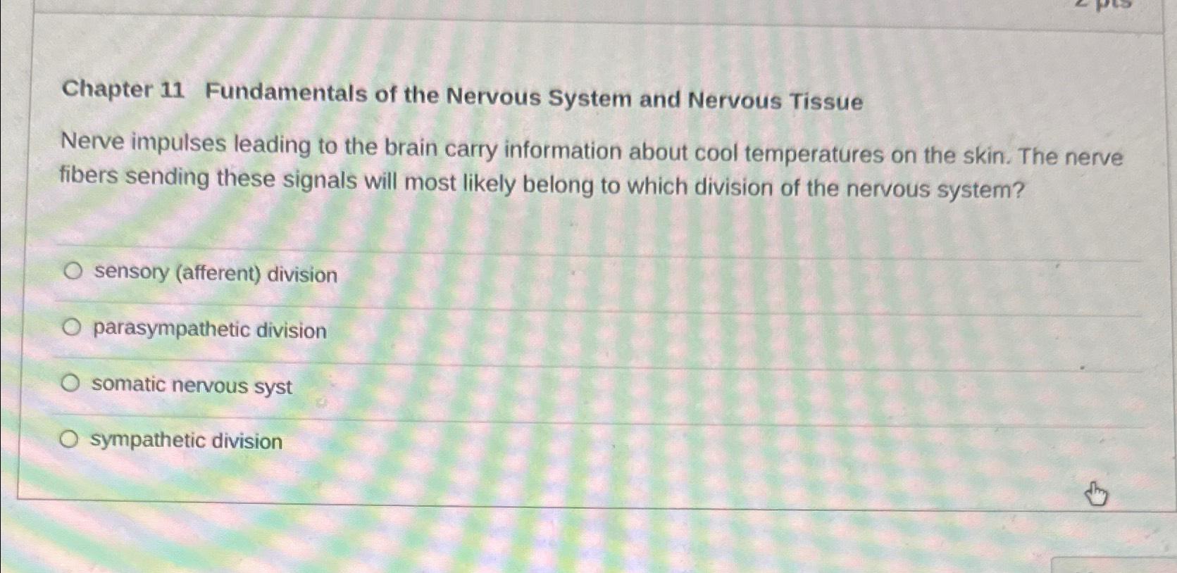 Solved Chapter 11 ﻿Fundamentals of the Nervous System and | Chegg.com