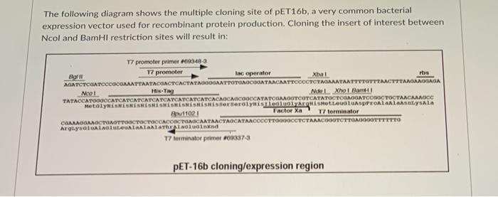 The following diagram shows the multiple cloning site | Chegg.com