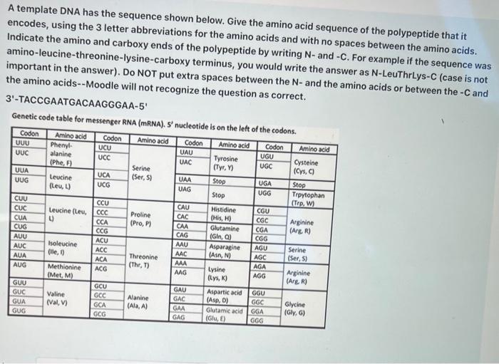 Solved A template DNA has the sequence shown below. Give the | Chegg.com