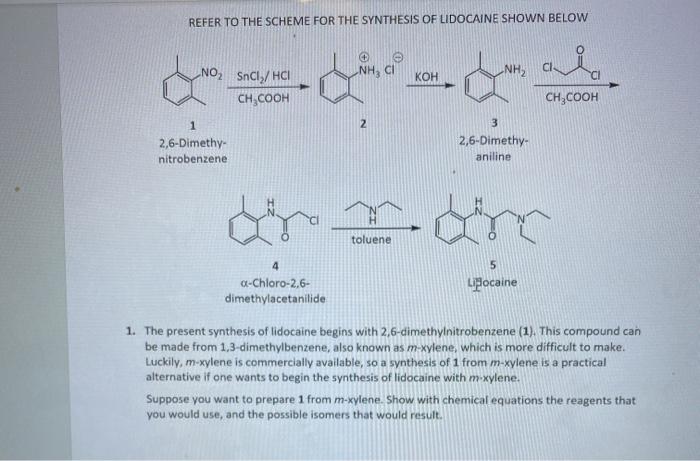 Solved REFER TO THE SCHEME FOR THE SYNTHESIS OF LIDOCAINE | Chegg.com