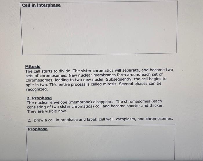 Solved THE DURATION OF THE PHASES OF THE CELL CYCLE | Chegg.com