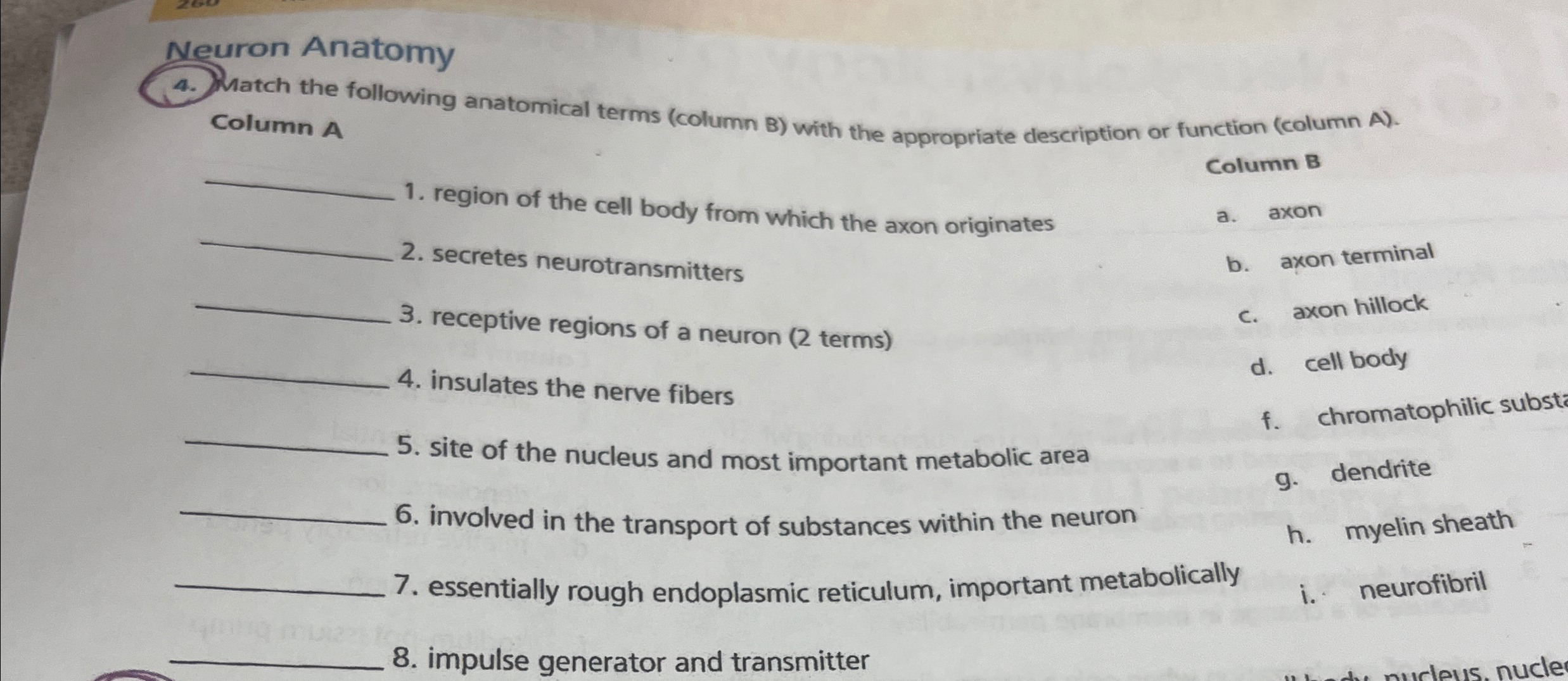 Solved Neuron Anatomy4. ﻿Watch the following anatomical | Chegg.com