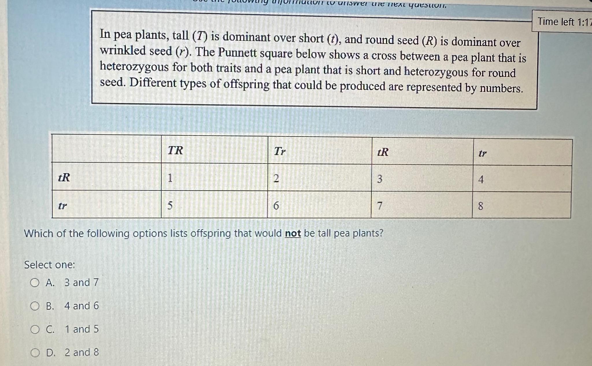 Solved In pea plants, tall (T) ﻿is dominant over short (t), | Chegg.com