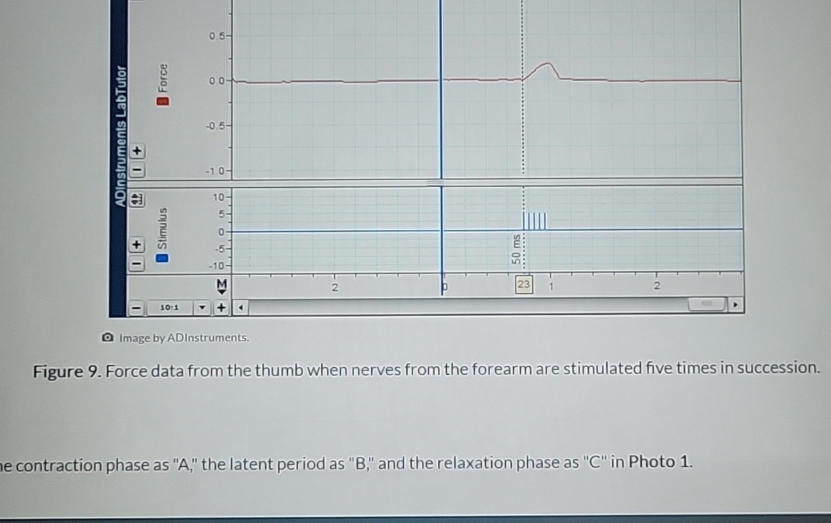 Solved image by ADInstruments.Figure 9. ﻿Force data from the | Chegg.com