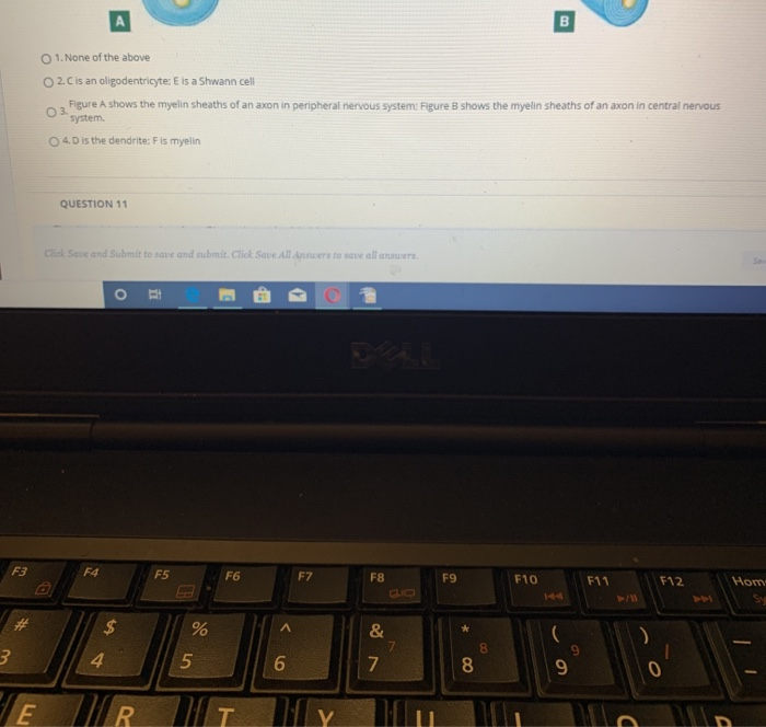 Solved estion Completion Status: 123456789 11 12 13 14 15 16 | Chegg.com Solved estion Completion Status: 123456789 11 12 13 14 15 16 | Chegg.com
