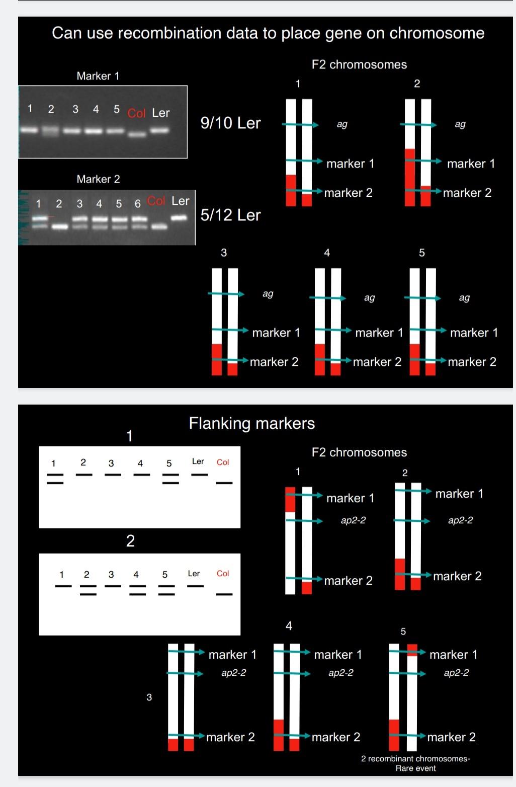Solved Solve this step by step It is based on Linkage | Chegg.com