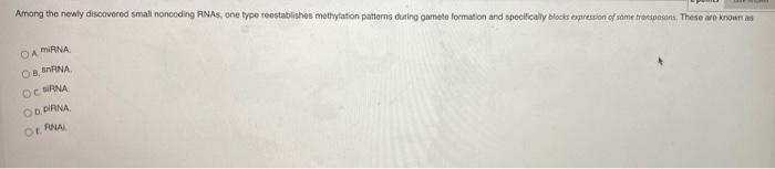 Solved Among the newly discovered small noncoding RNAs, one | Chegg.com